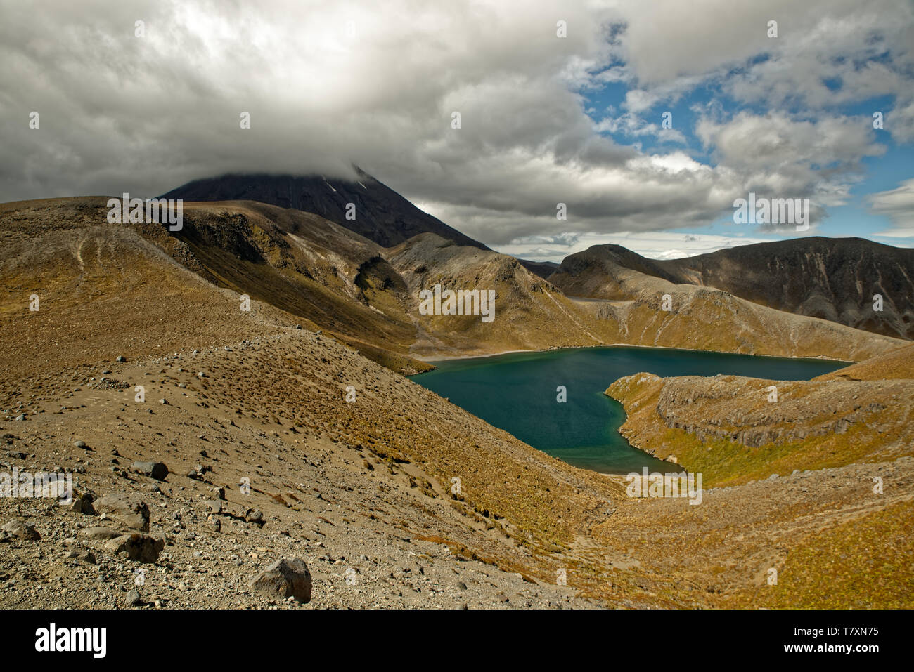 Landschaft Neuseeland - Nationalpark Tongariro mit aktiven Vulkane ...