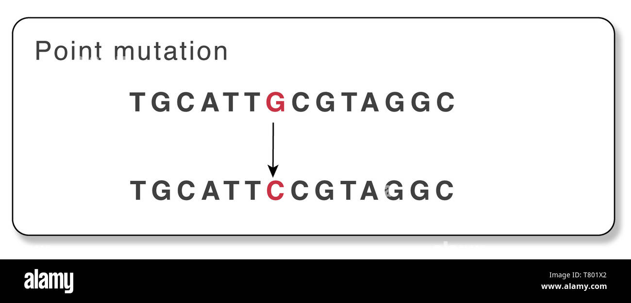 Gen mutation -Fotos und -Bildmaterial in hoher Auflösung – Alamy