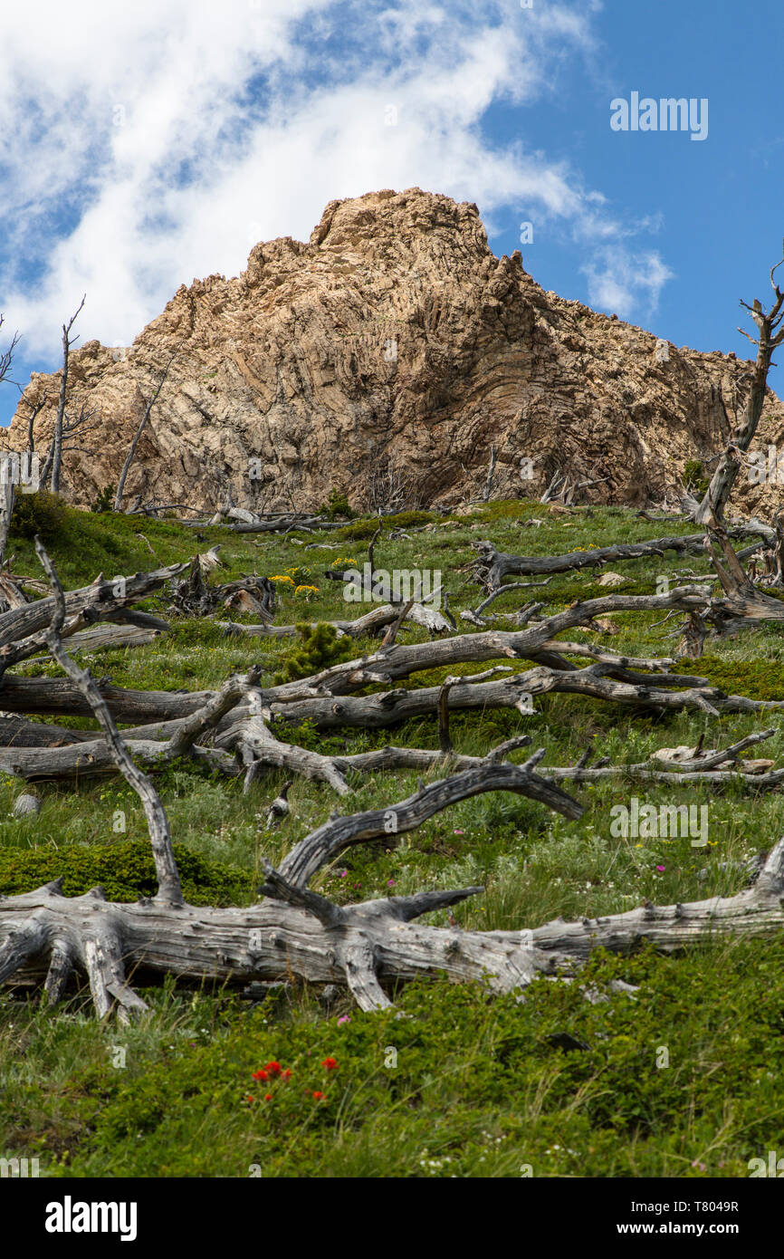 Geografischer berg -Fotos und -Bildmaterial in hoher Auflösung – Alamy