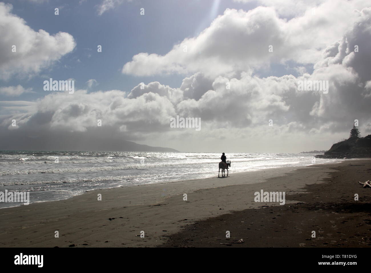 Reiter am strand -Fotos und -Bildmaterial in hoher Auflösung – Alamy