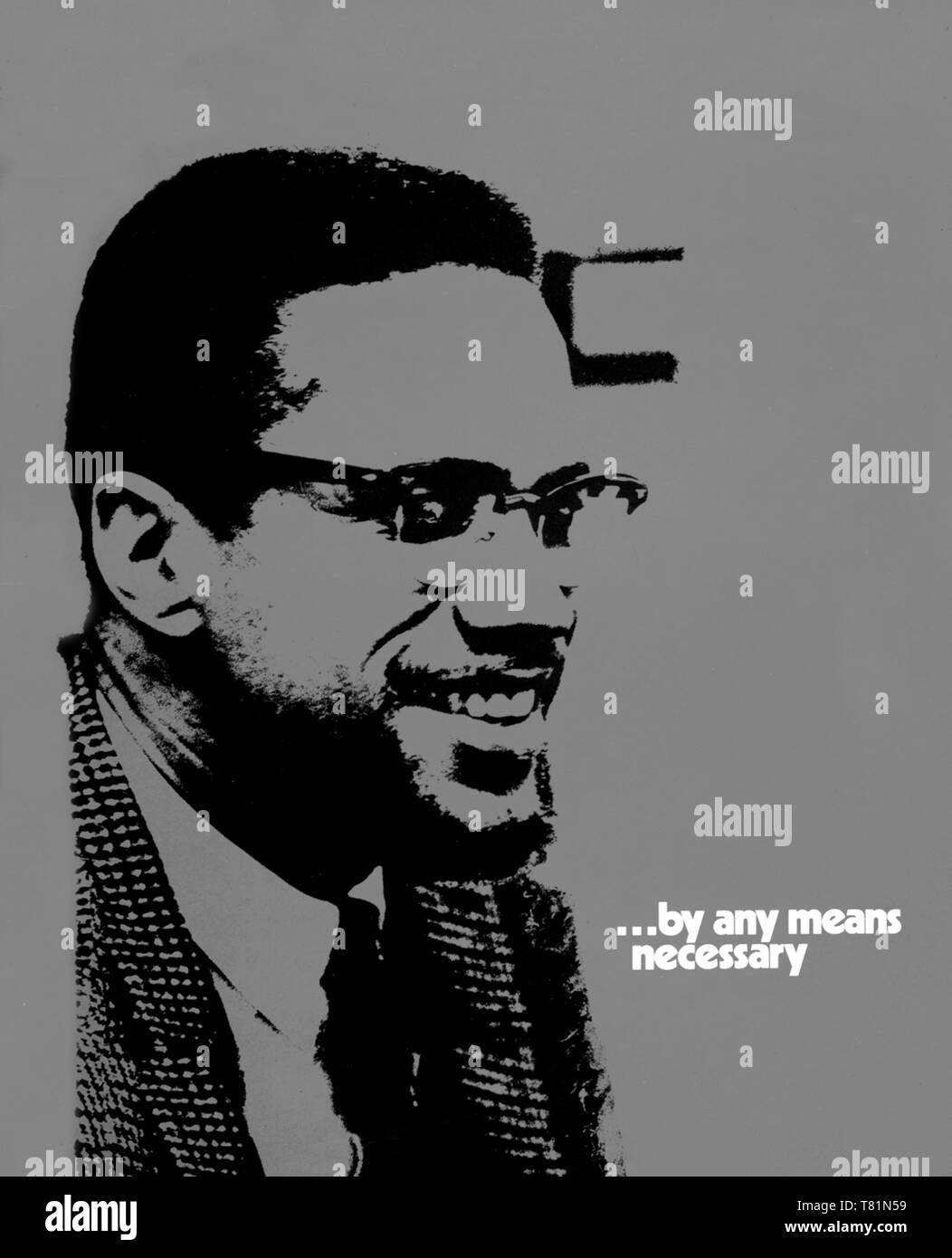 Malcolm x mit allen mitteln notwendig -Fotos und -Bildmaterial in hoher ...