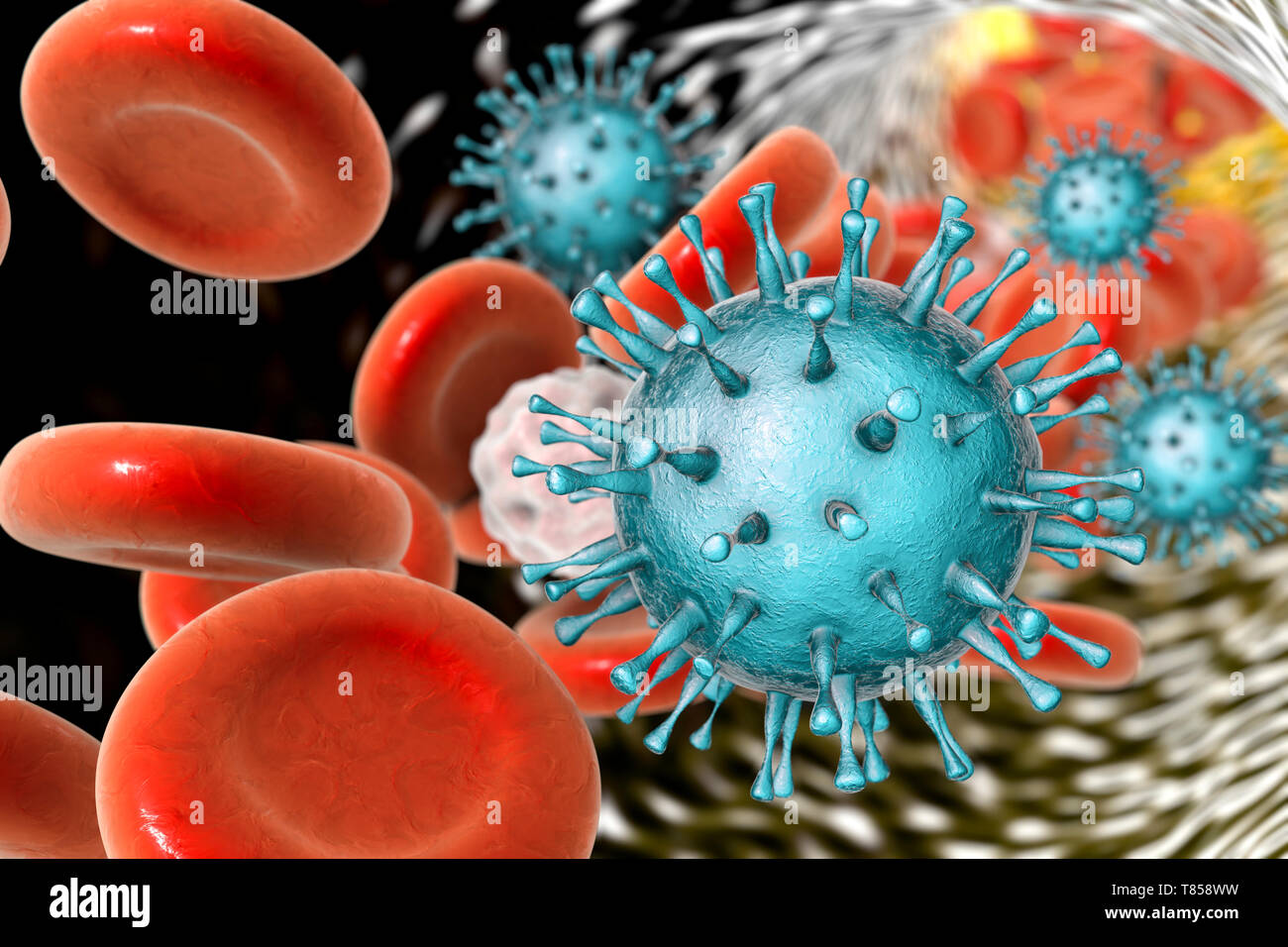 Menschliches herpesvirus 3 -Fotos und -Bildmaterial in hoher Auflösung ... Menschliches herpesvirus 3 -Fotos und -Bildmaterial in hoher Auflösung ...