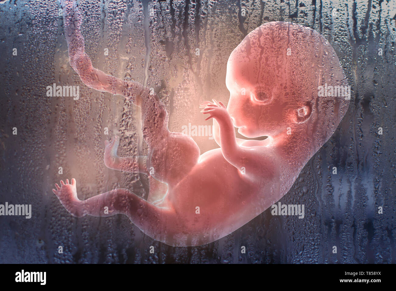 Medizinische abtreibung -Fotos und -Bildmaterial in hoher Auflösung – Alamy