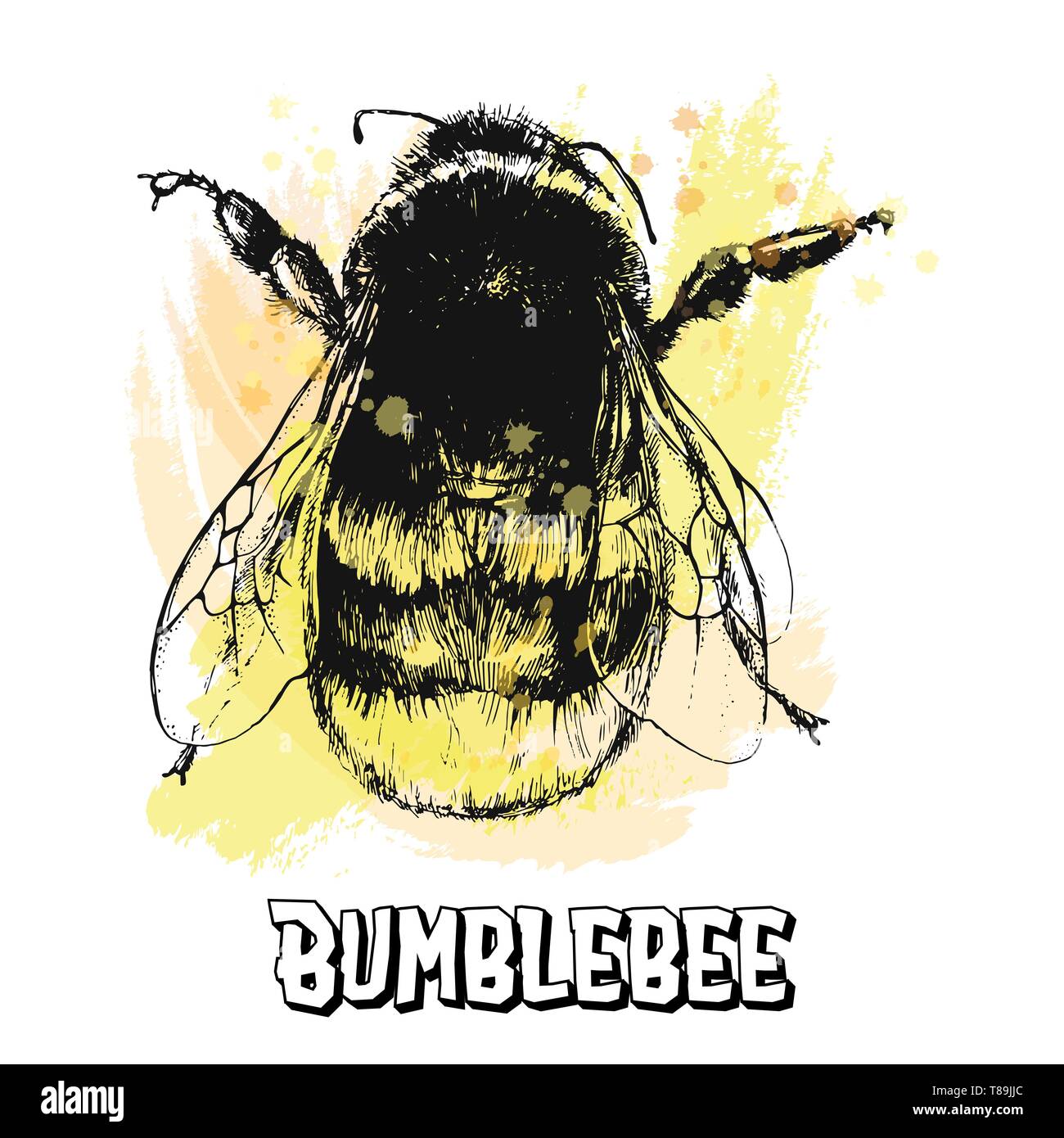 Hand gezeichnete Skizze stil Hummel auf weißem Hintergrund. Vector ...