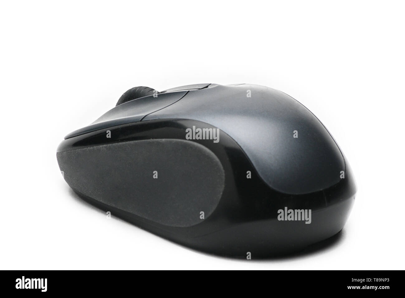 Mouse isolated on transparent background -Fotos und -Bildmaterial in ...