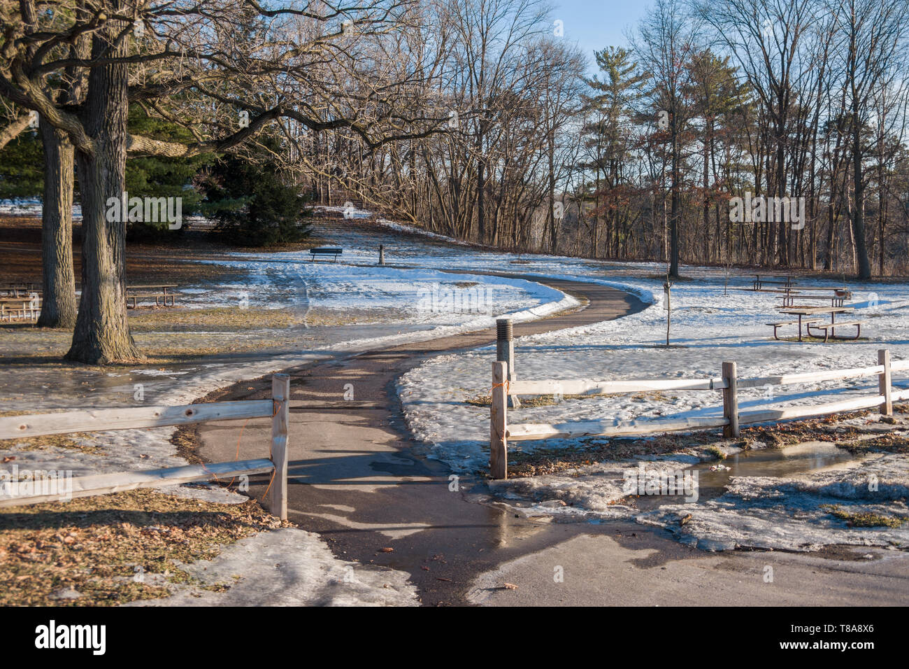 Theodor schneeholz -Fotos und -Bildmaterial in hoher Auflösung – Alamy