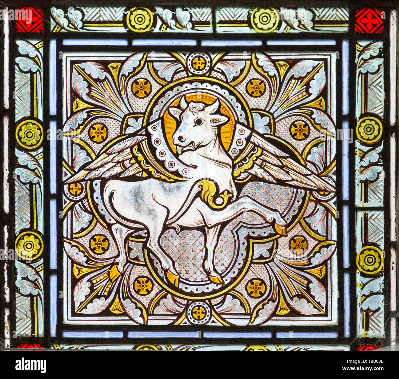 Saint luke stier -Fotos und -Bildmaterial in hoher Auflösung – Alamy