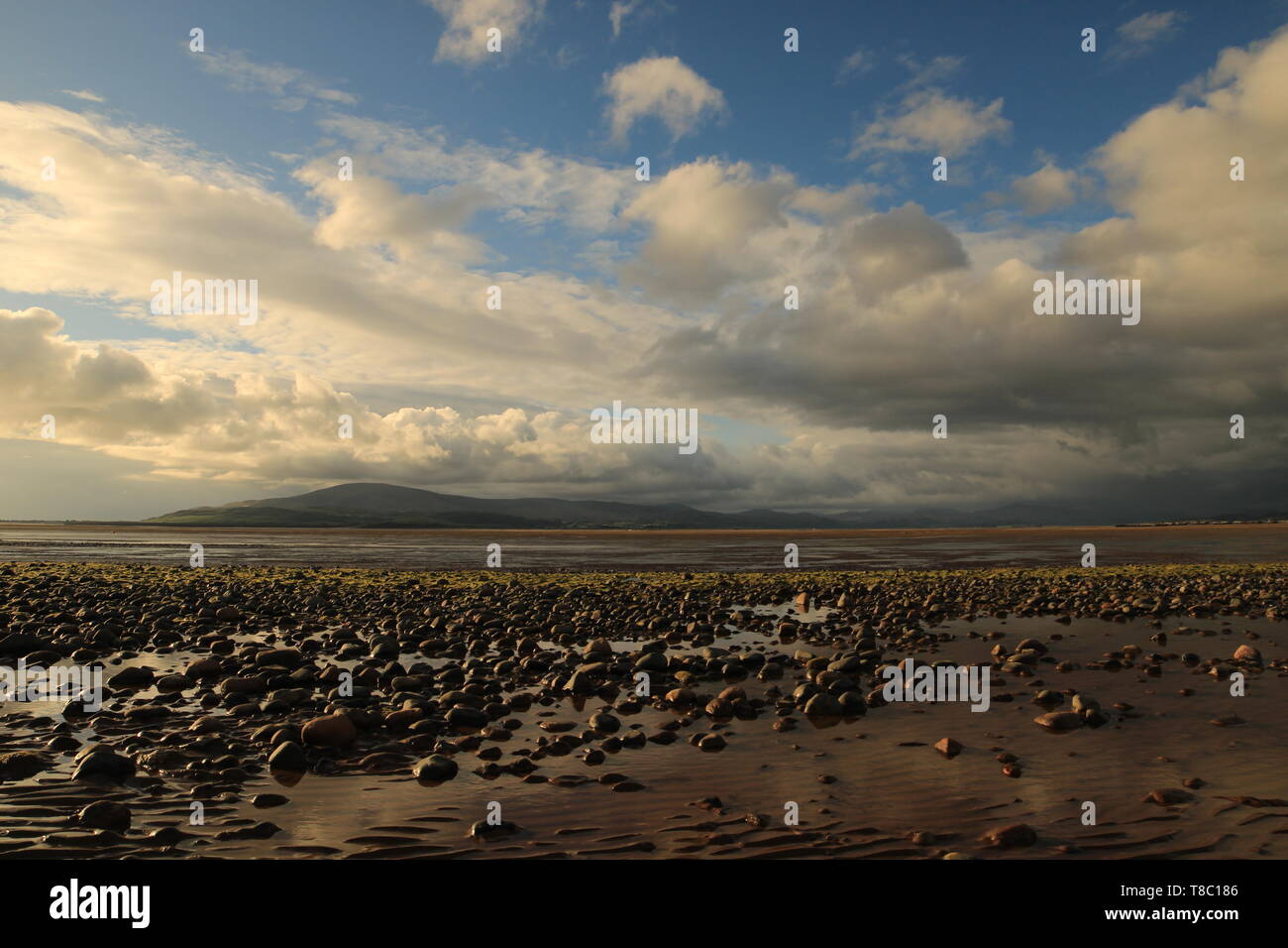 UK Sandscale Haws National Nature Reserve, Roanhead, Barrow In Furness ...
