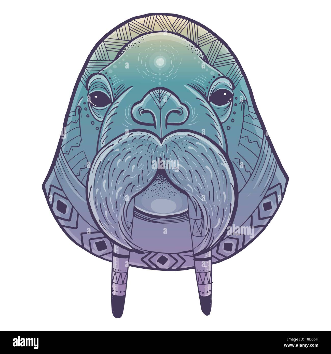 Walrus Vector Vectors Stockfotos und -bilder Kaufen - Alamy