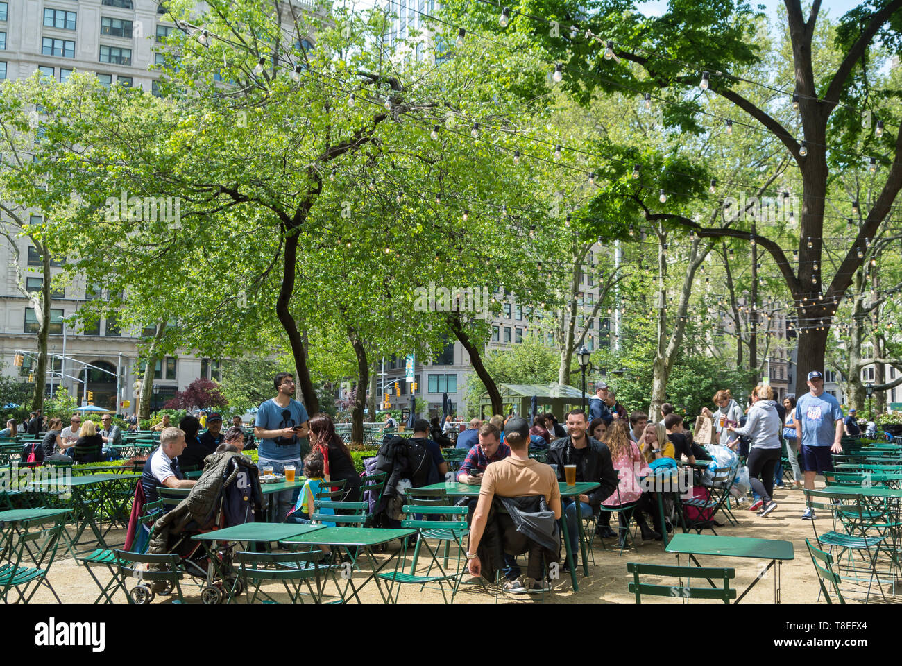 Madison Square Park, Downtown, Manhattan, New York City, NY/USA ...