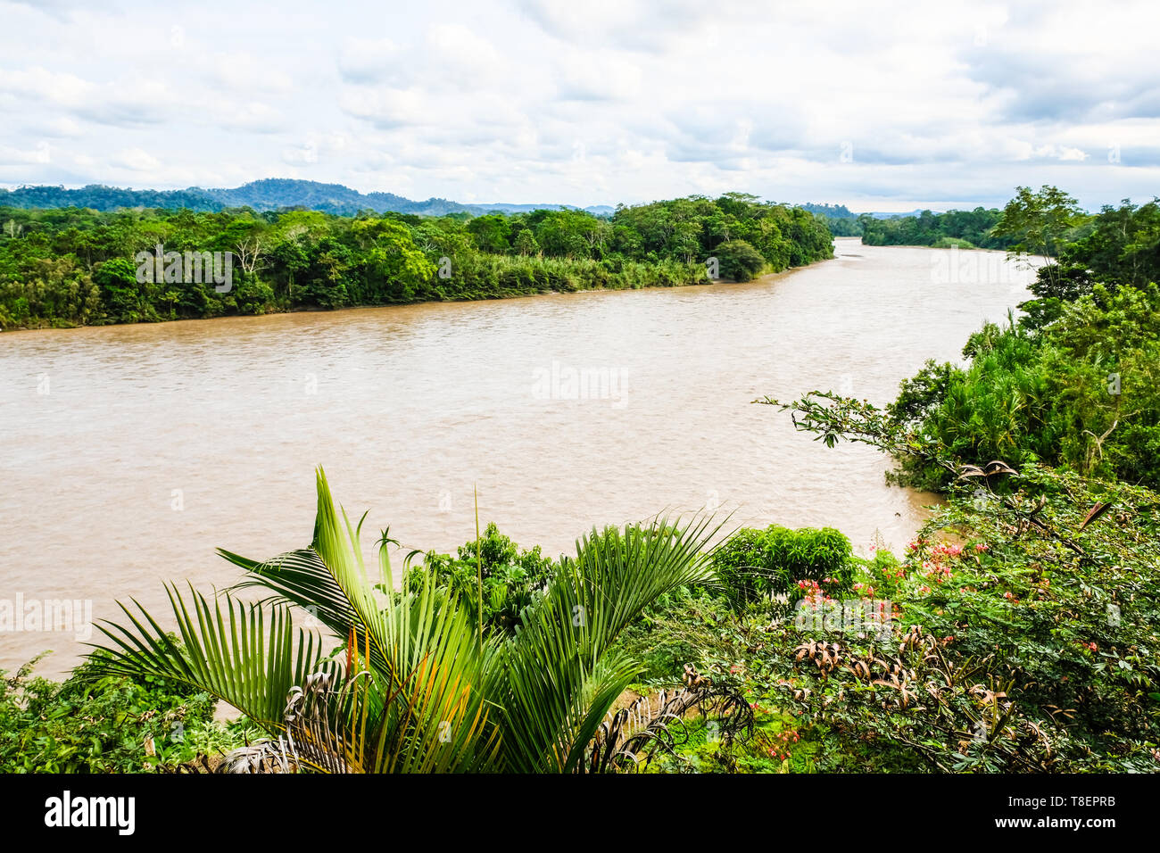 Napo region -Fotos und -Bildmaterial in hoher Auflösung – Alamy