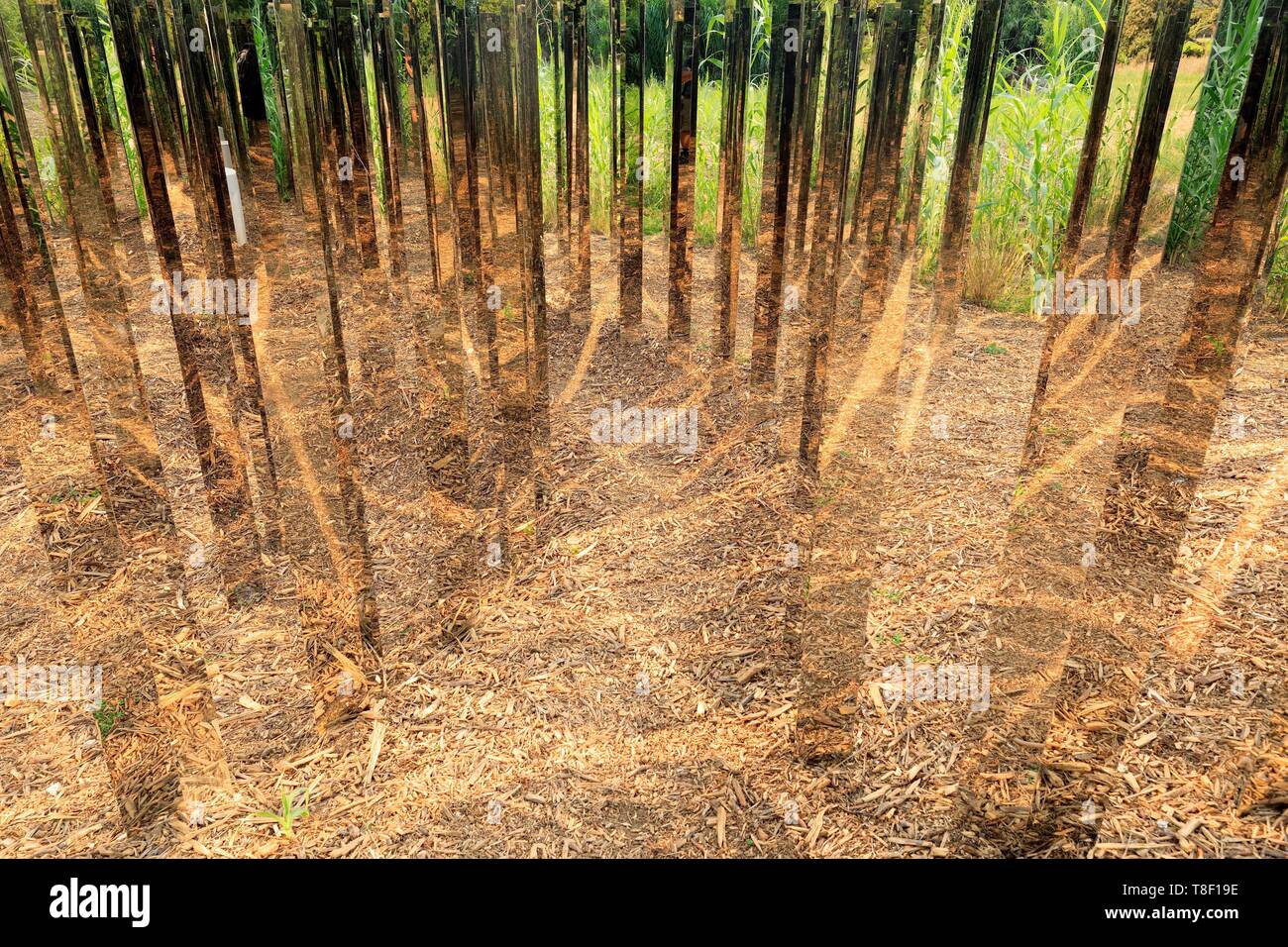 Jardin emotionen -Fotos und -Bildmaterial in hoher Auflösung – Alamy