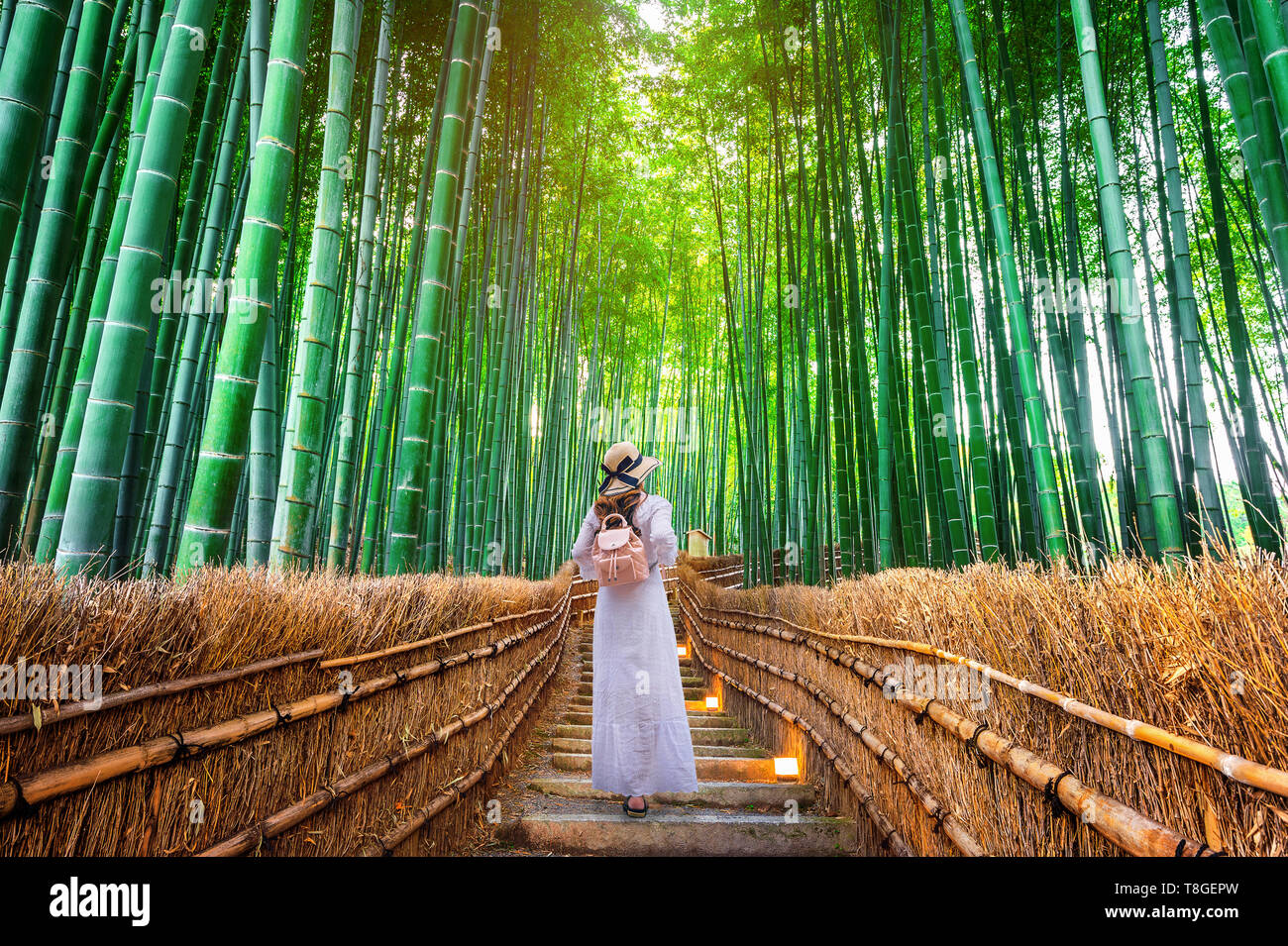 Frau bambuswald sagano arashiyama kyoto japan -Fotos und -Bildmaterial in hoher Auflösung – Alamy