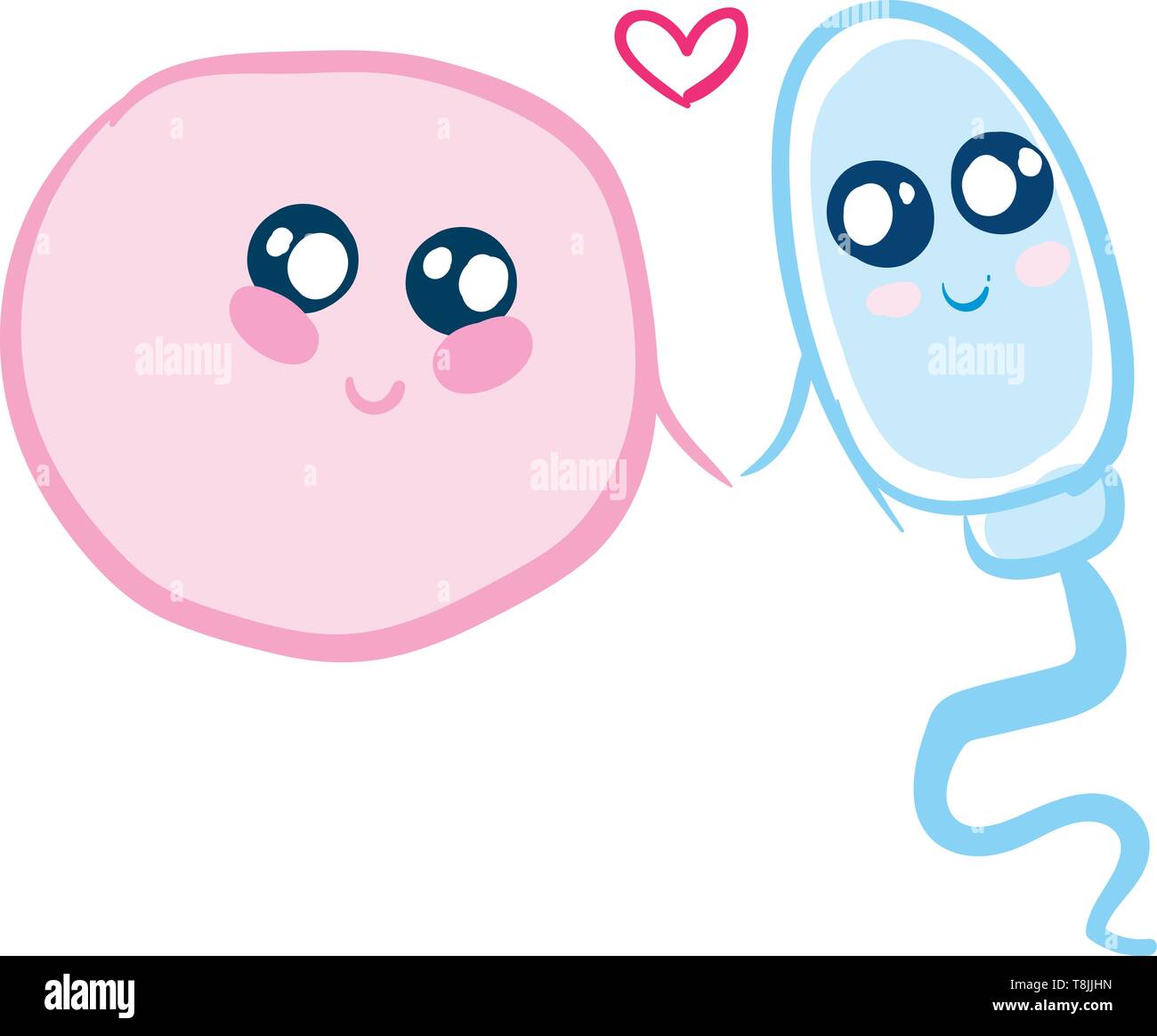 Menschliche fortpflanzung Stock-Vektorgrafiken kaufen - Alamy