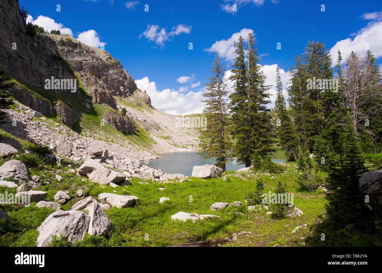 Der Grand Teton National Park und die Teton Crest Trail. Marion See ...
