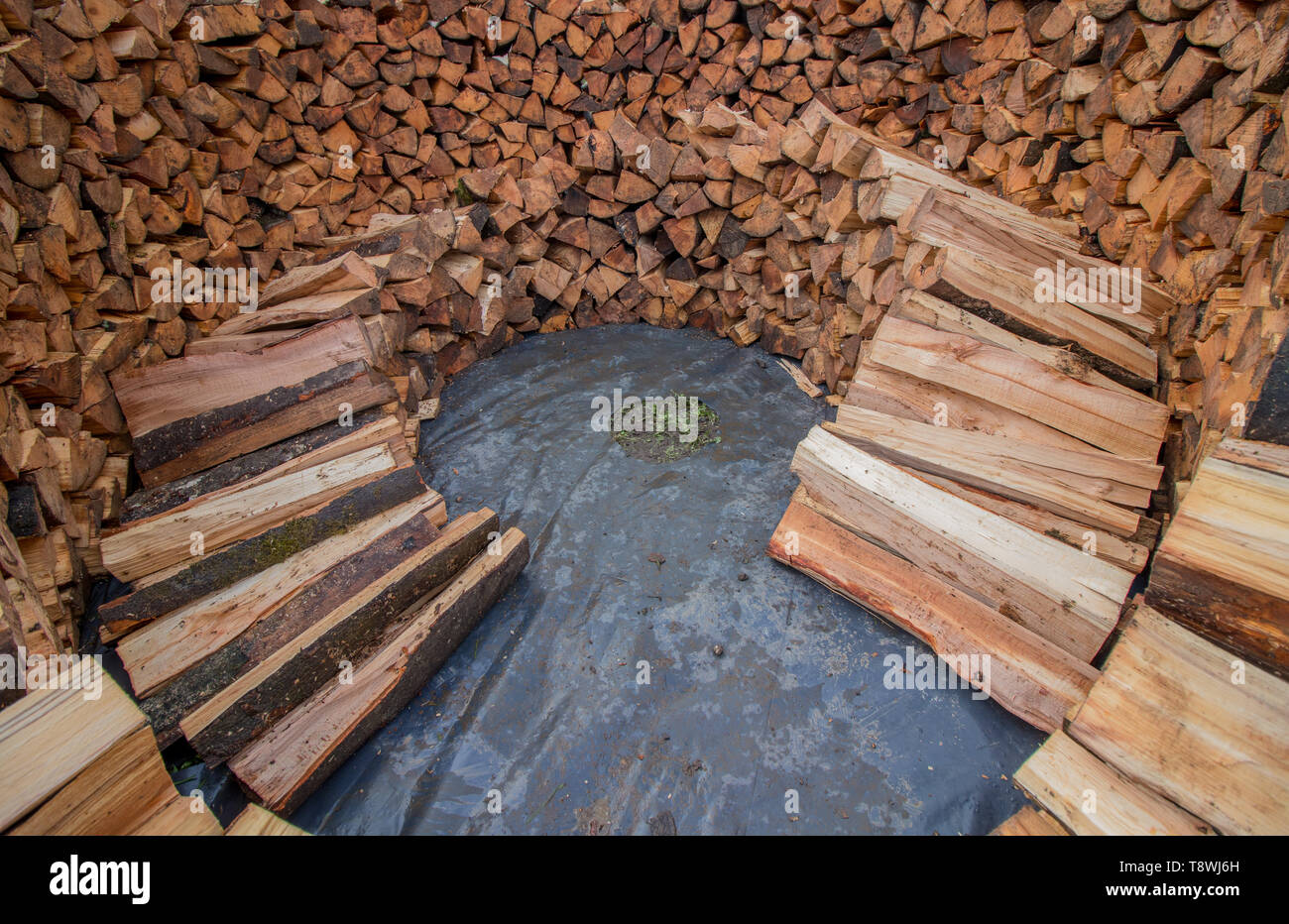 Brennholz zum trocknen stapeln -Fotos und -Bildmaterial in hoher ...
