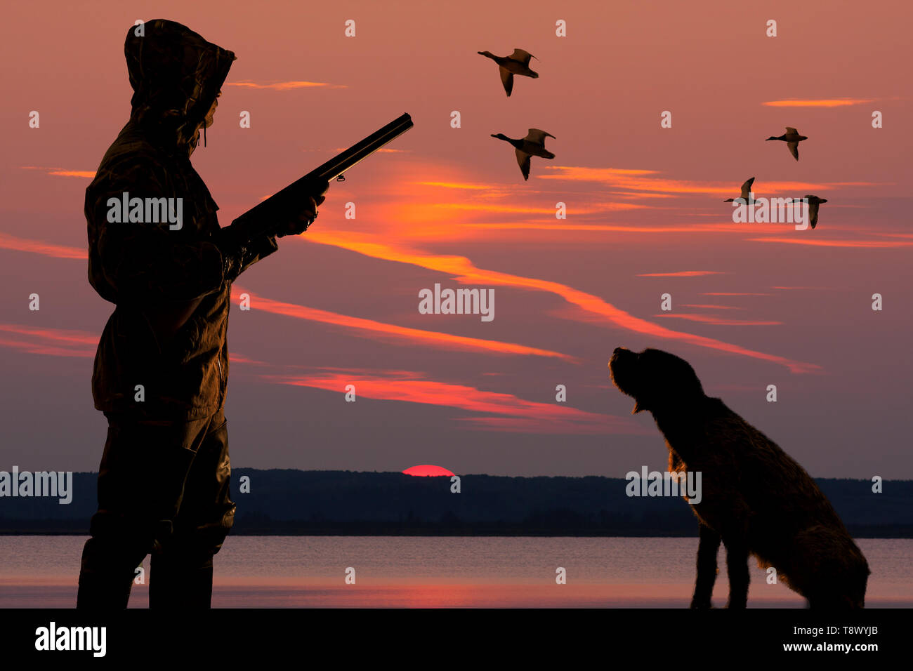 Jäger hund silhouette -Fotos und -Bildmaterial in hoher Auflösung – Alamy