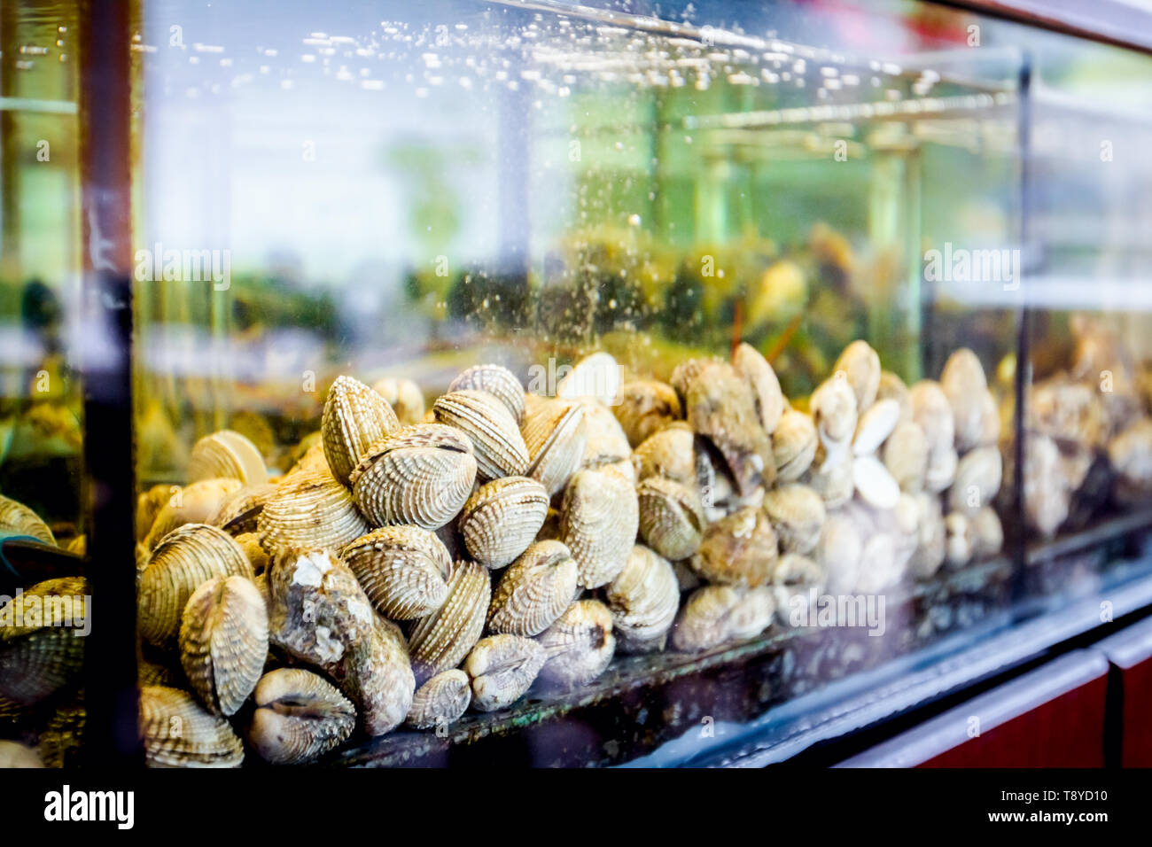 Wirtshaus zu verkaufen -Fotos und -Bildmaterial in hoher Auflösung – Alamy