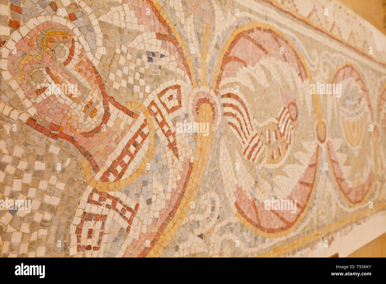 Mosaico de las Estaciones. Parque Arqueológico de Madaba. Madaba ...