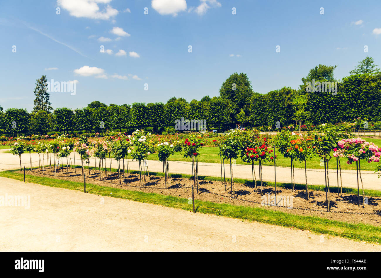 Rosengarten Austria Stockfotos und -bilder Kaufen - Alamy