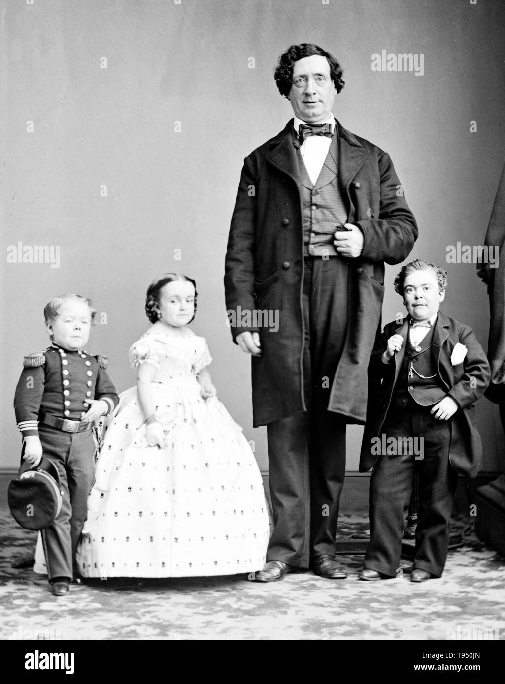 Lavinia warren -Fotos und -Bildmaterial in hoher Auflösung – Alamy