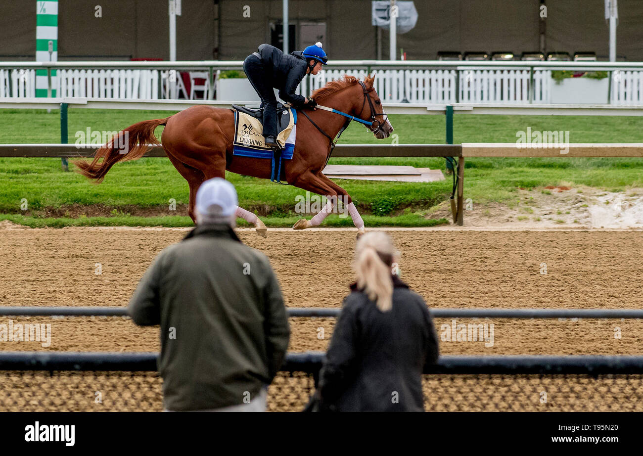 Lachender fuchs -Fotos und -Bildmaterial in hoher Auflösung – Alamy