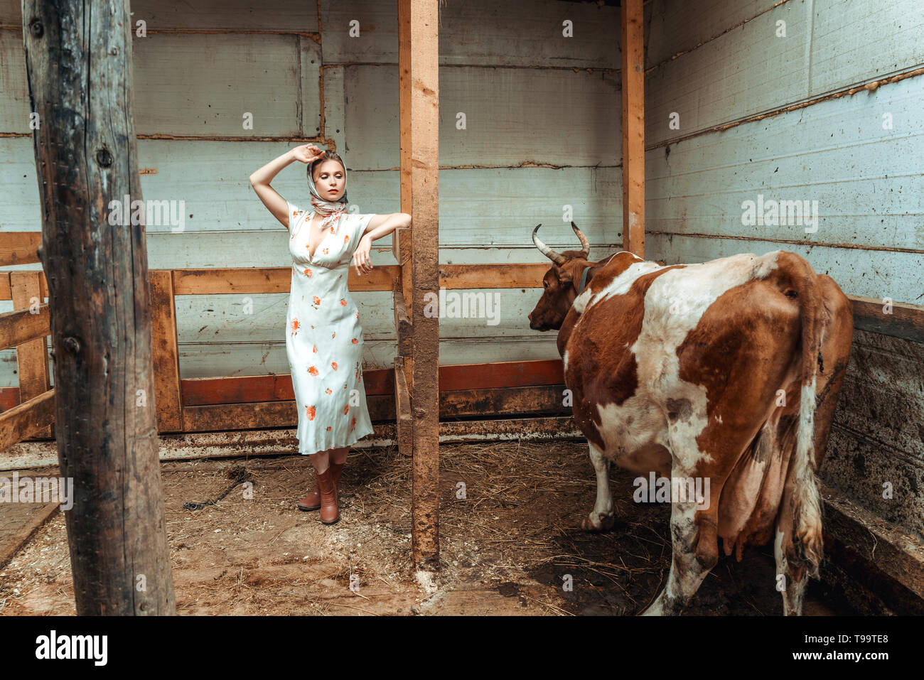 Melkerin im kuhstall -Fotos und -Bildmaterial in hoher Auflösung – Alamy