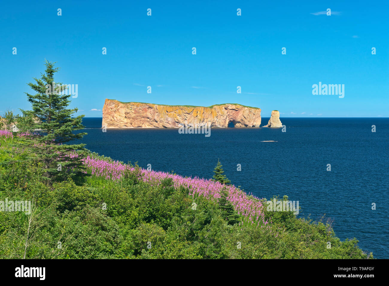 Perce quebec -Fotos und -Bildmaterial in hoher Auflösung – Alamy