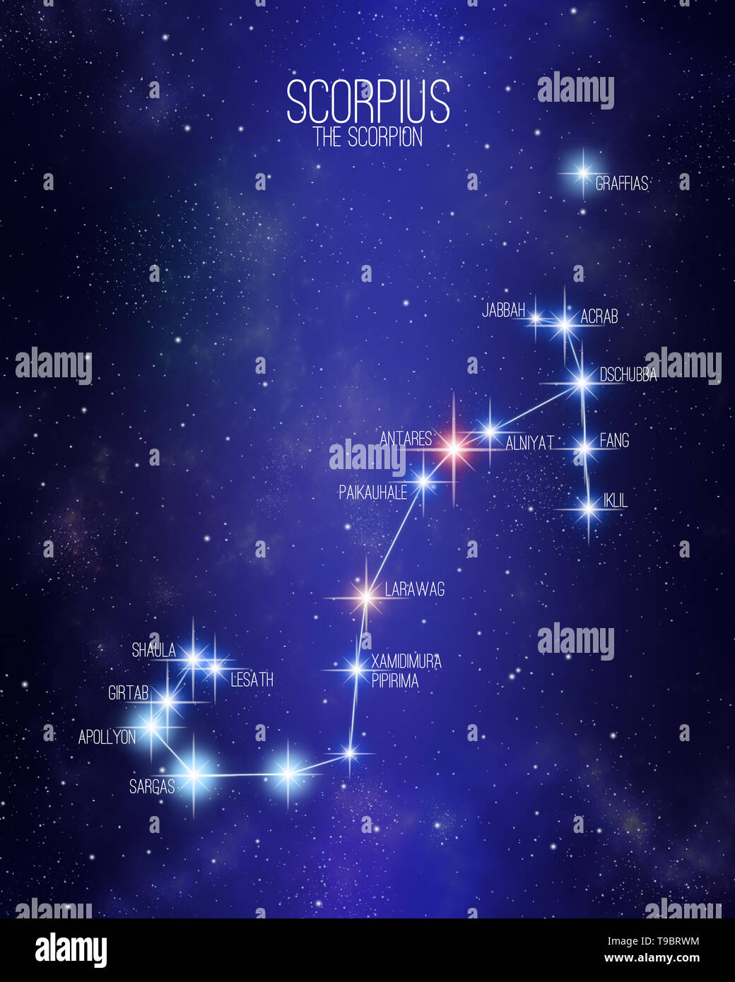 Constellation scorpius -Fotos und -Bildmaterial in hoher Auflösung – Alamy