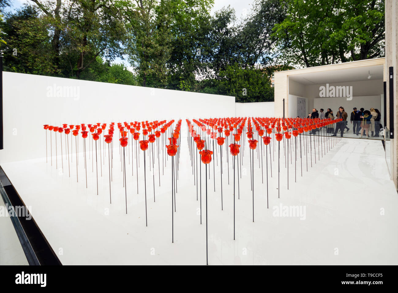 Renate Bertlmann, Discordo Ergo Sum installation, Messer - rose Feld ...