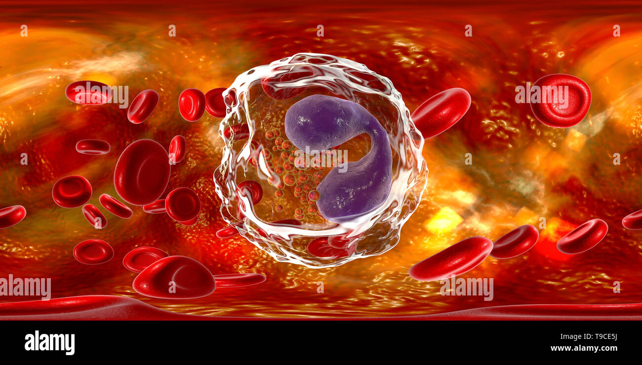 Blood cell -Fotos und -Bildmaterial in hoher Auflösung – Alamy