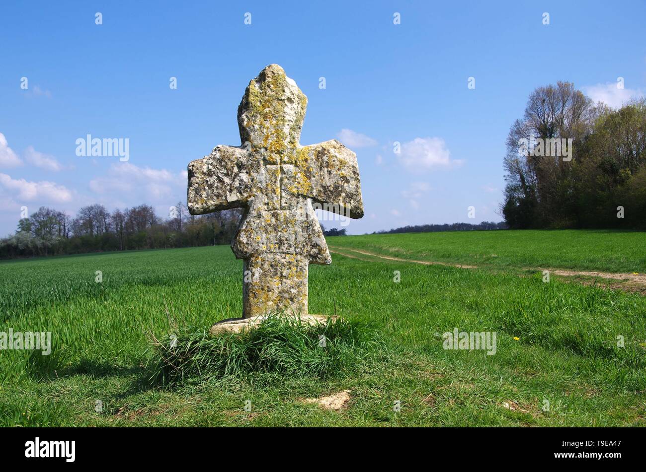 Croix pattee -Fotos und -Bildmaterial in hoher Auflösung – Alamy