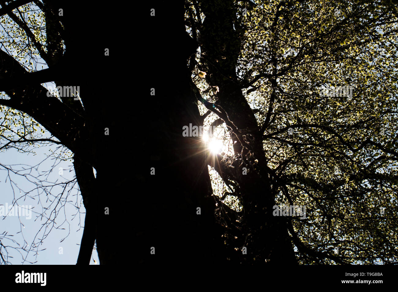 Das Haus am Meer der Erfinder Otto Overbeck, die Gartenanlage und das ...