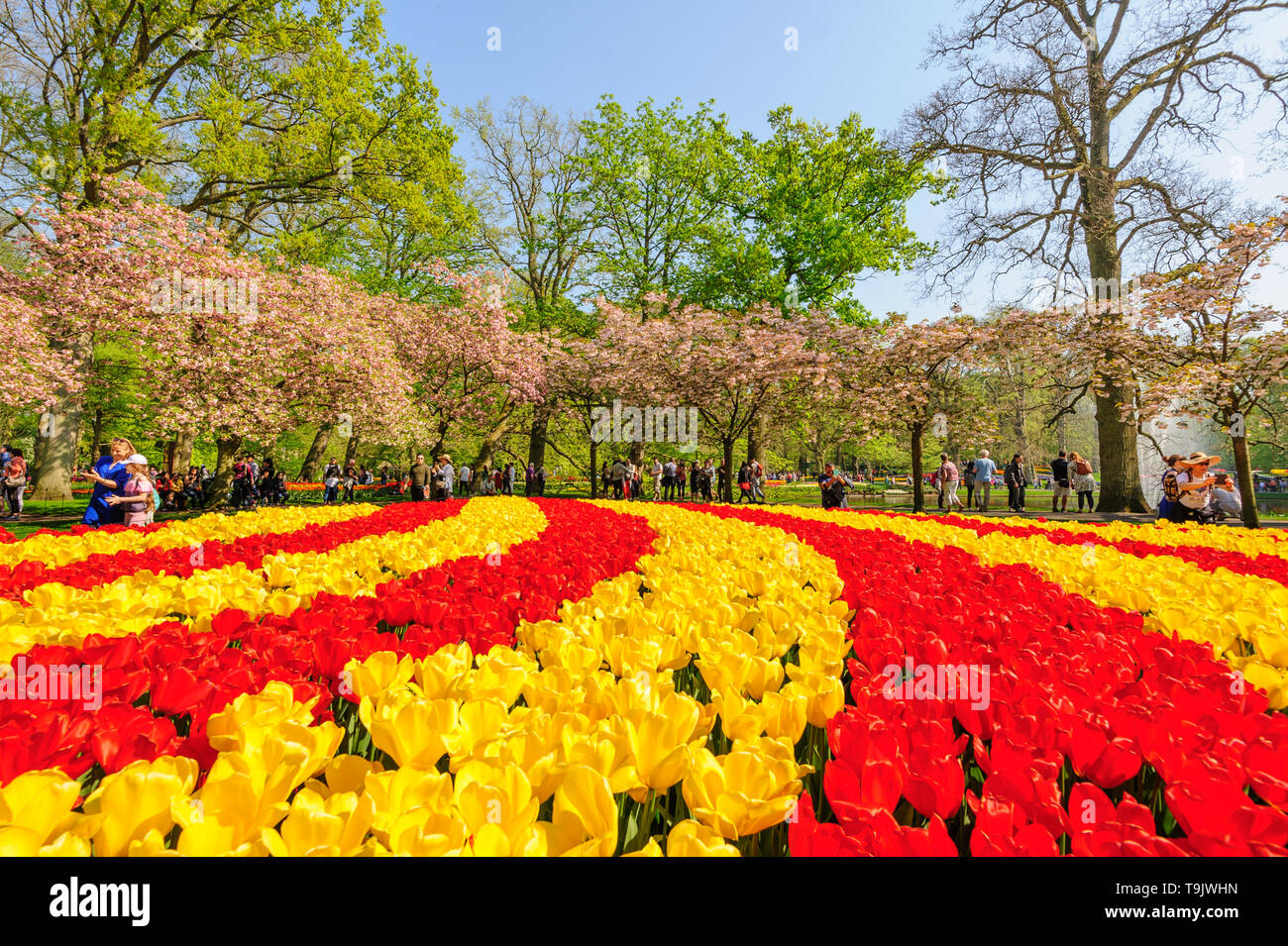 Blumenbeete In Holland