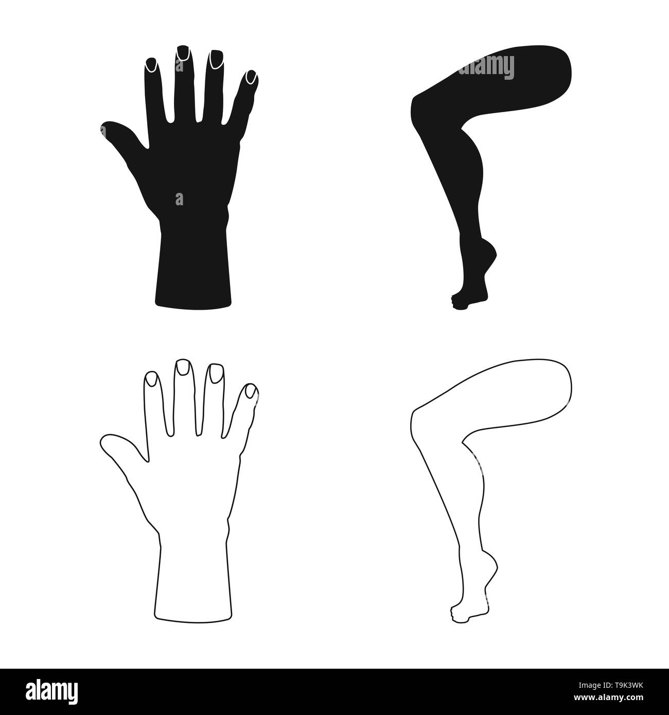 Vektor Design von Körper und Symbol. Sammlung von Körper und Anatomie ...