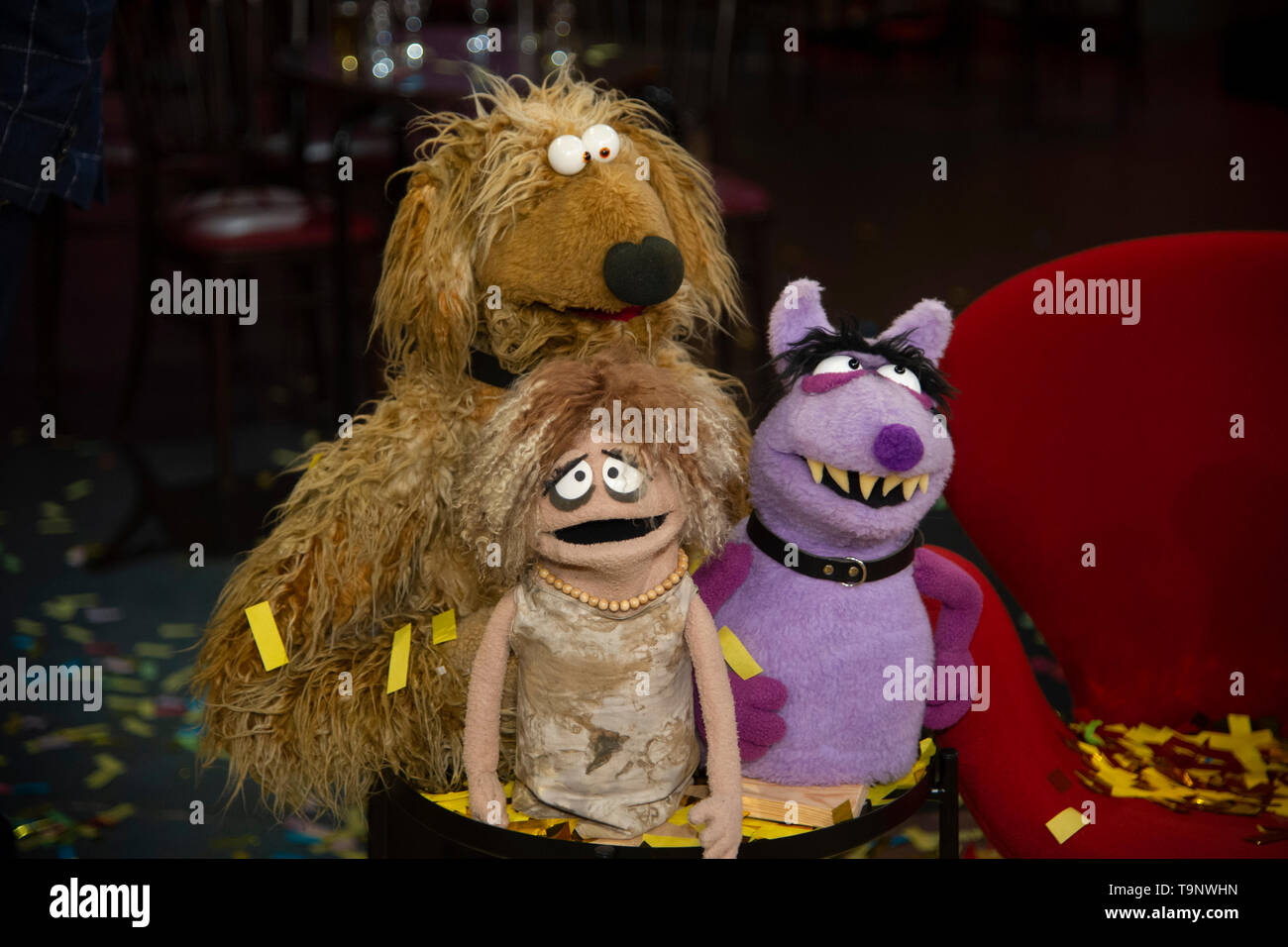 Martin reinl -Fotos und -Bildmaterial in hoher Auflösung – Alamy