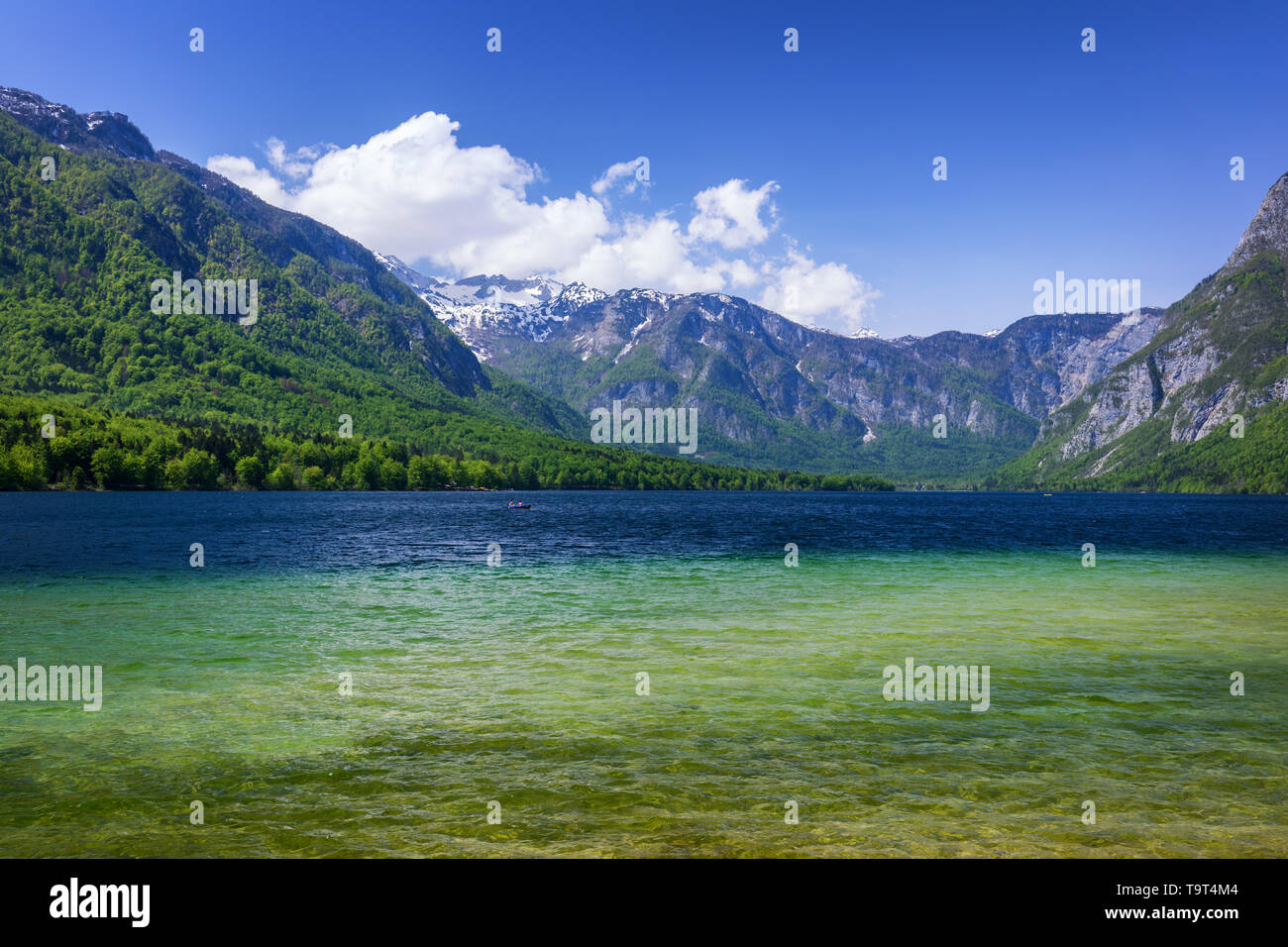 See Bohinj in Slowenien, Schönheit in der Natur. Farbenfrohe Sommer auf ...