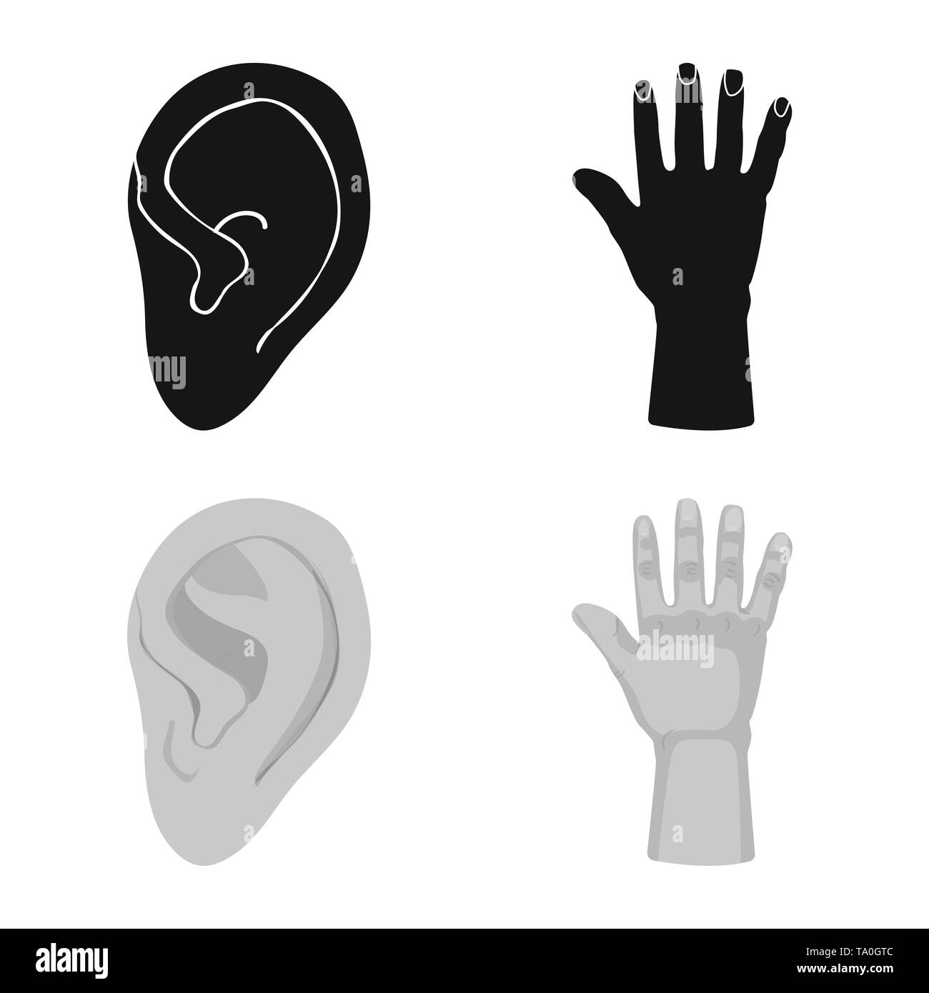 Vektor Design von Körper und Symbol. Satz von Körper und Anatomie ...