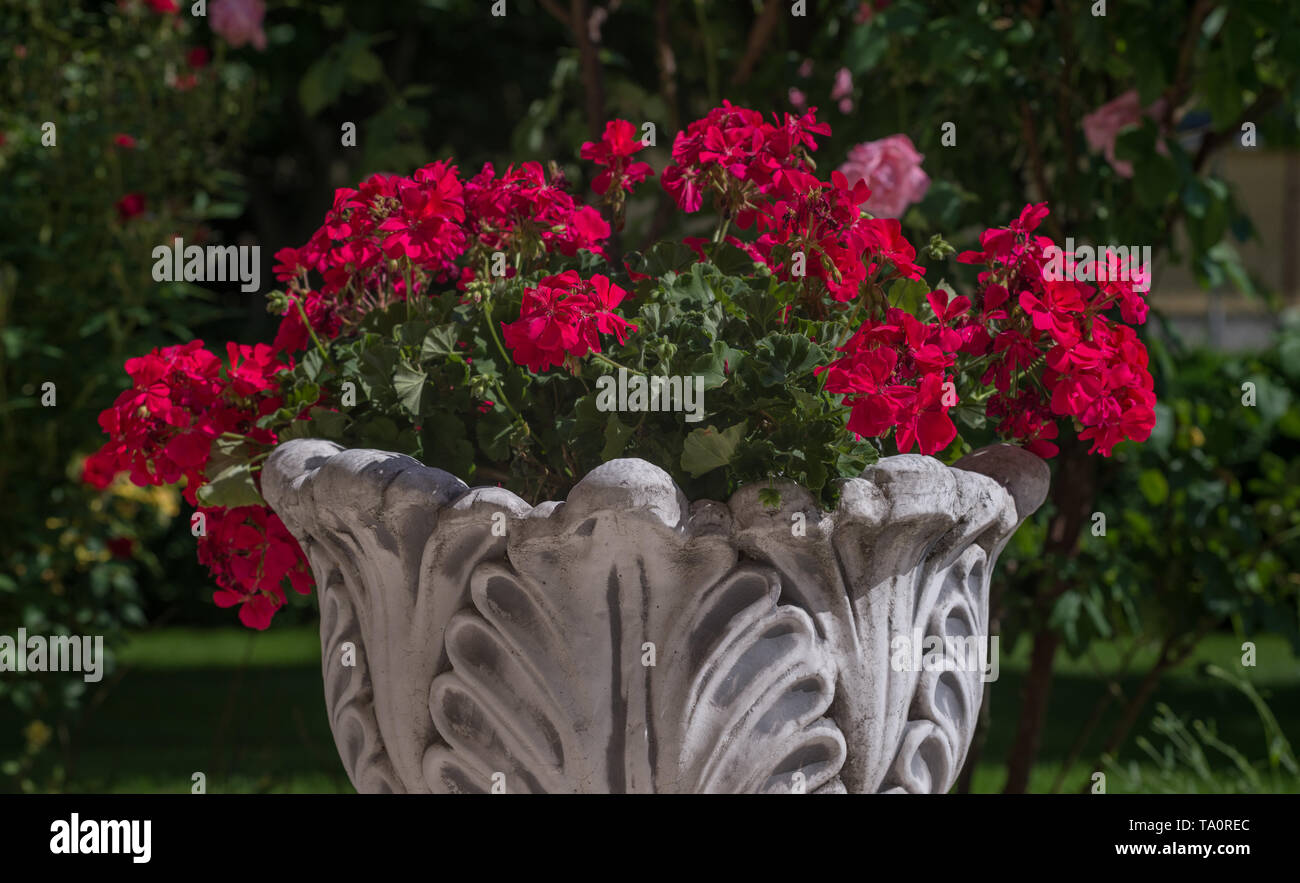 Blumenbeet rund -Fotos und -Bildmaterial in hoher Auflösung – Alamy