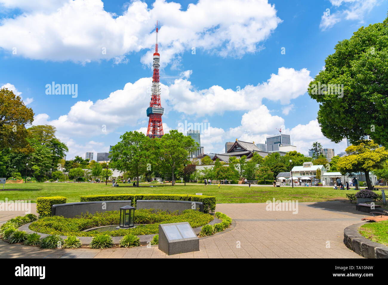 Japanese shiba -Fotos und -Bildmaterial in hoher Auflösung – Alamy
