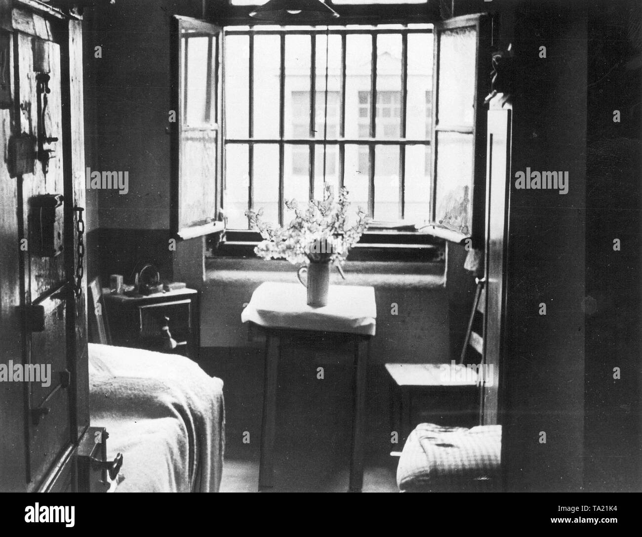 Widerstand weiße rose -Fotos und -Bildmaterial in hoher Auflösung – Alamy
