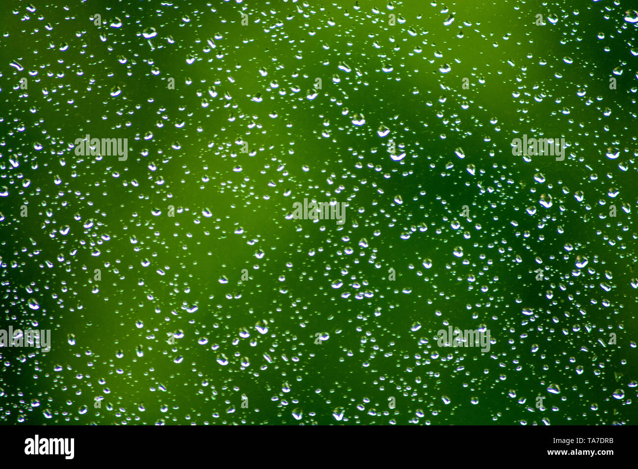 Konzept Natur: Regentropfen Stockfotografie - Alamy