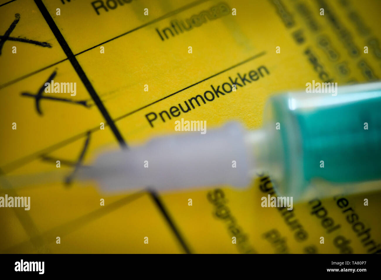Impfung Pneumokokken, Buch, symbolische Foto Impfung Impfung Impfbuch ...