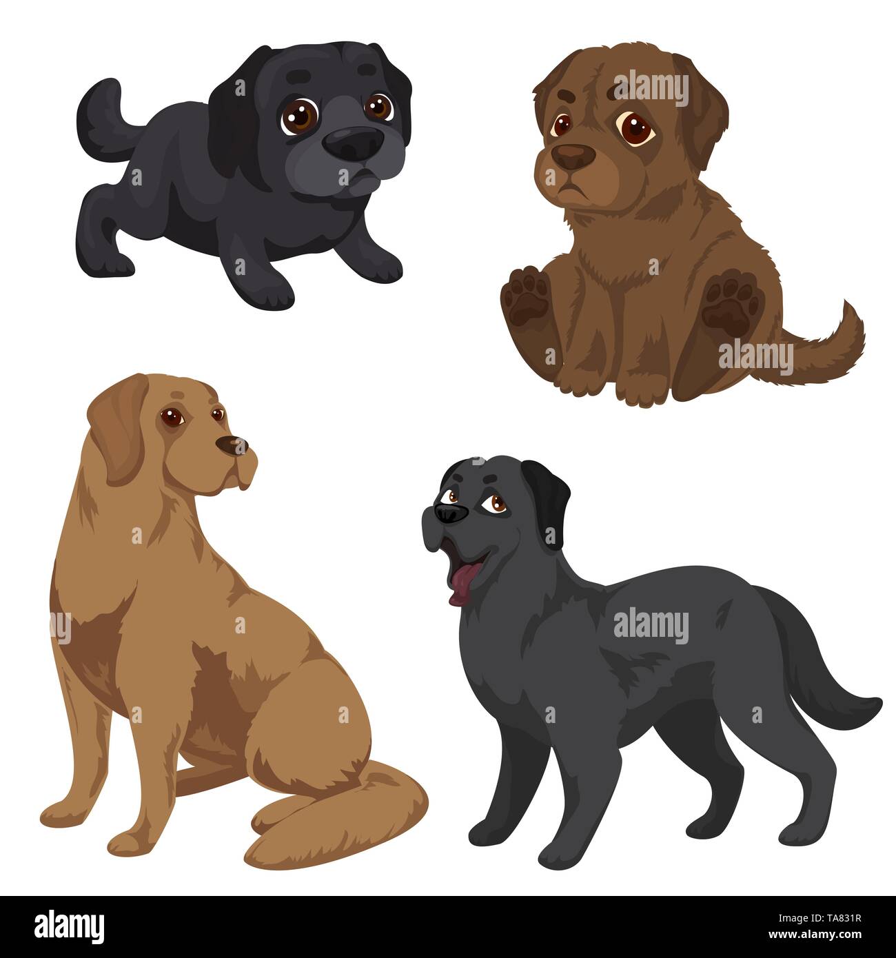 Labrador Symbole gesetzt. Cartoon von Labrador Vector Icons für Web ...