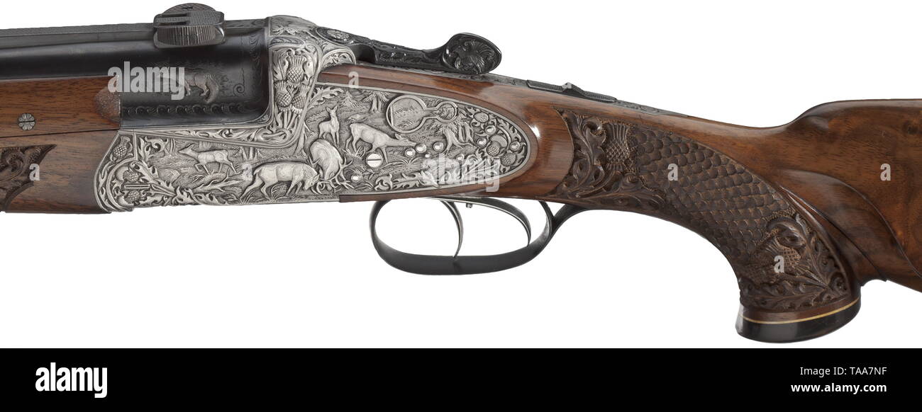 Lange Arme, moderne JAGDWAFFEN, über und unter Schrotflinte/double ...