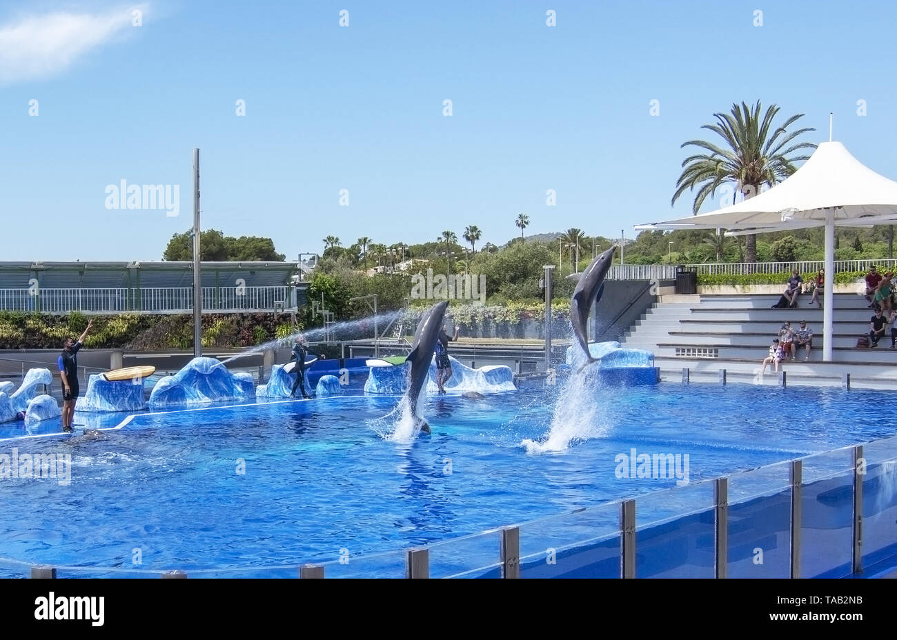 Dolphin in aquarium marineland mallorca -Fotos und -Bildmaterial in ...