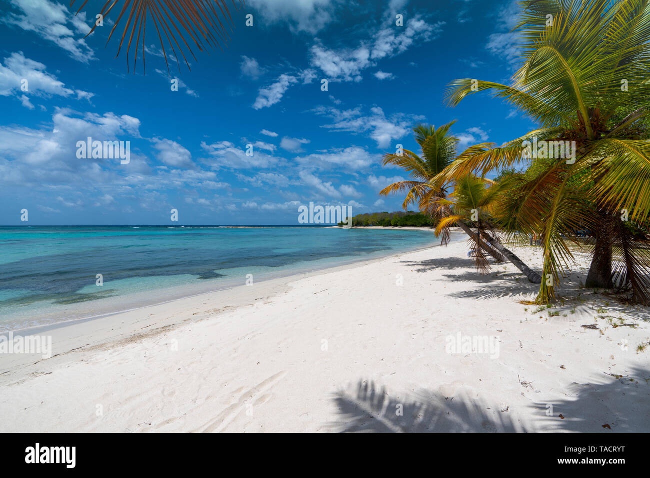 Mustique Island ist eine exklusive, Paradise, Urlaub und Karibik mit ...