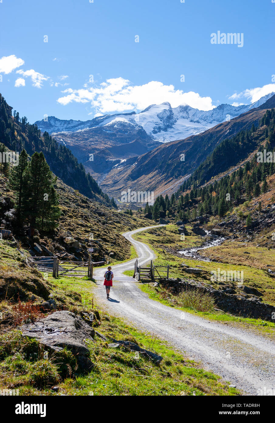 Hiking austria zillertal -Fotos und -Bildmaterial in hoher Auflösung ...