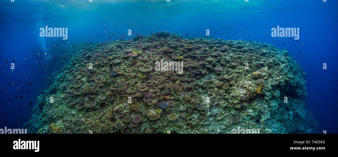 Strand von kimbe bay -Fotos und -Bildmaterial in hoher Auflösung – Alamy