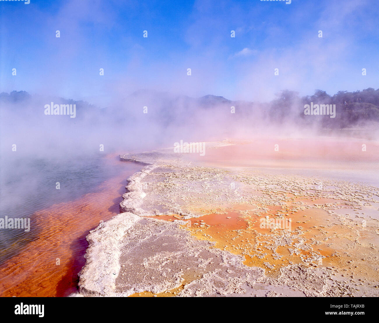 Wai O Tapu Waiotapu Neuseeland Stockfotos und -bilder Kaufen - Alamy